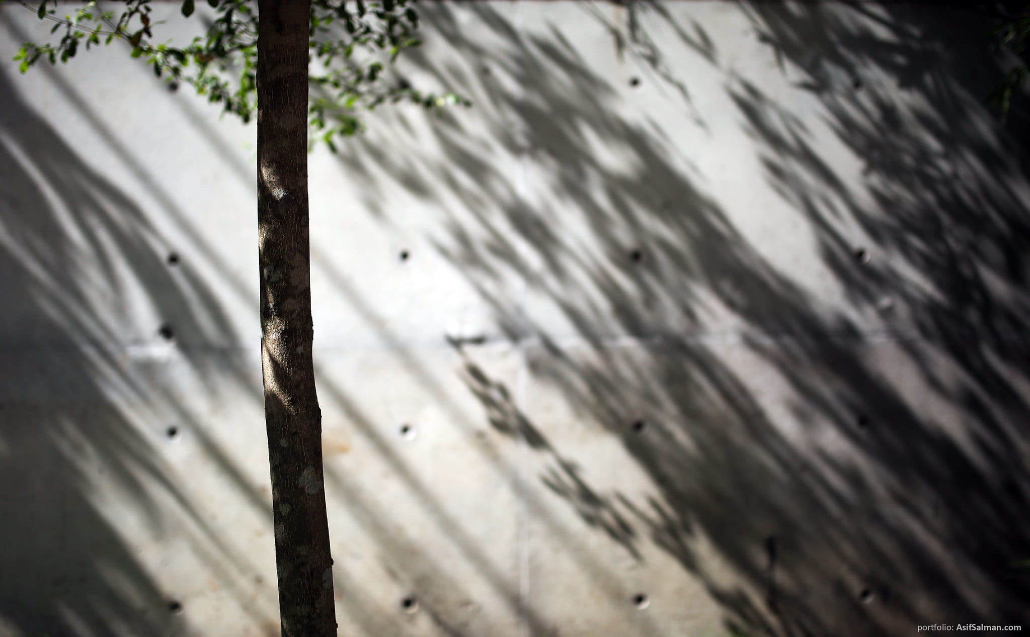 RD Square | Rangs Properties Ltd.